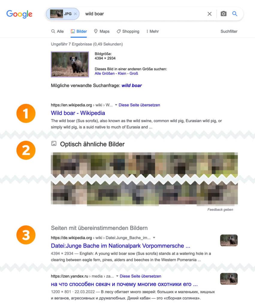 Wie finde ich die Quelle eines Bildes im Internet?