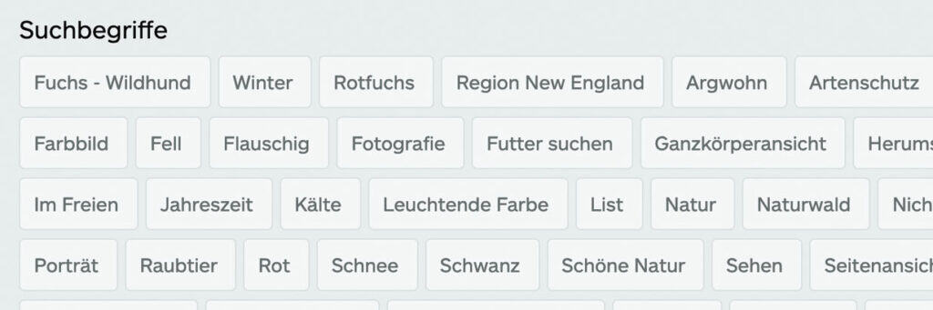 Wie finde ich die Quelle eines Bildes im Internet?